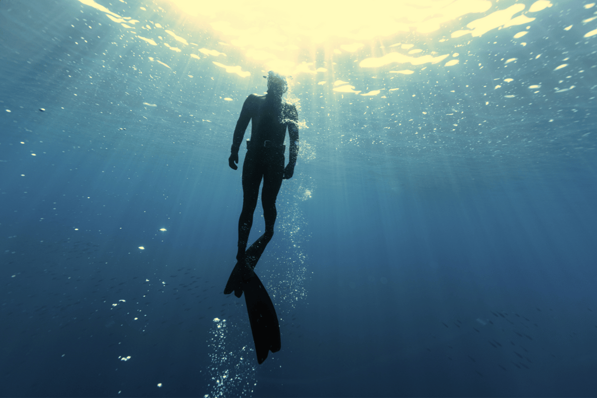 Dive into the Silence: The Ultimate Beginner's Guide to Freediving ...
